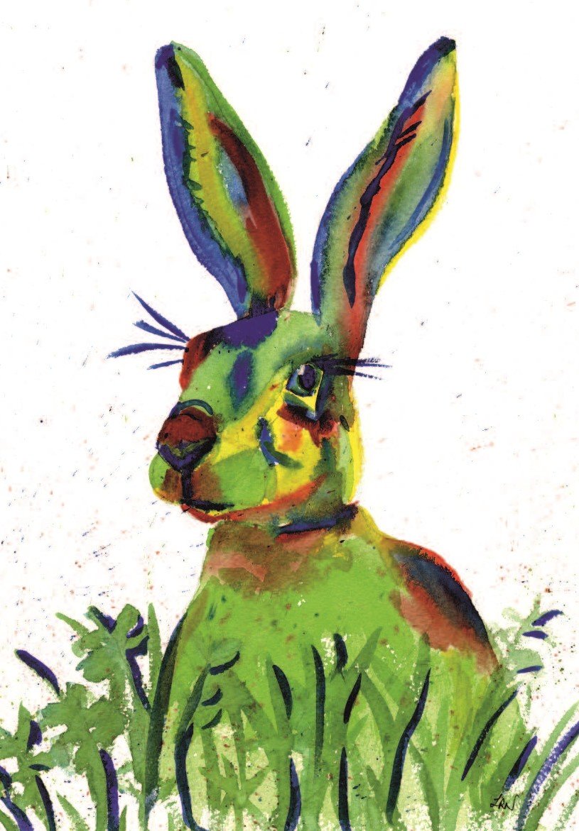 Colourful Hare – Lucinda Nicholas Art